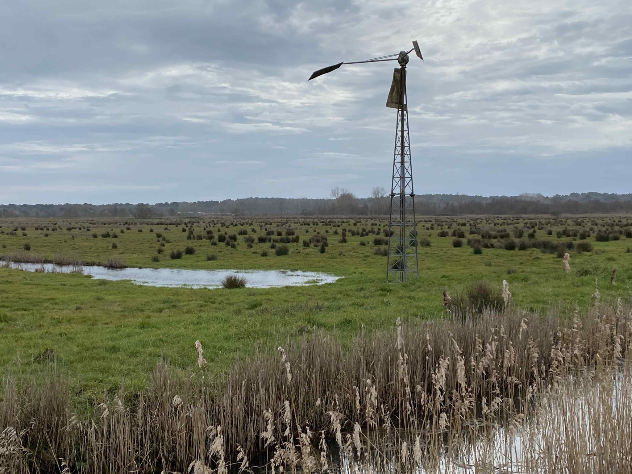 2023 03 09 Rando ETAULES – Terre et Mer à Étaules