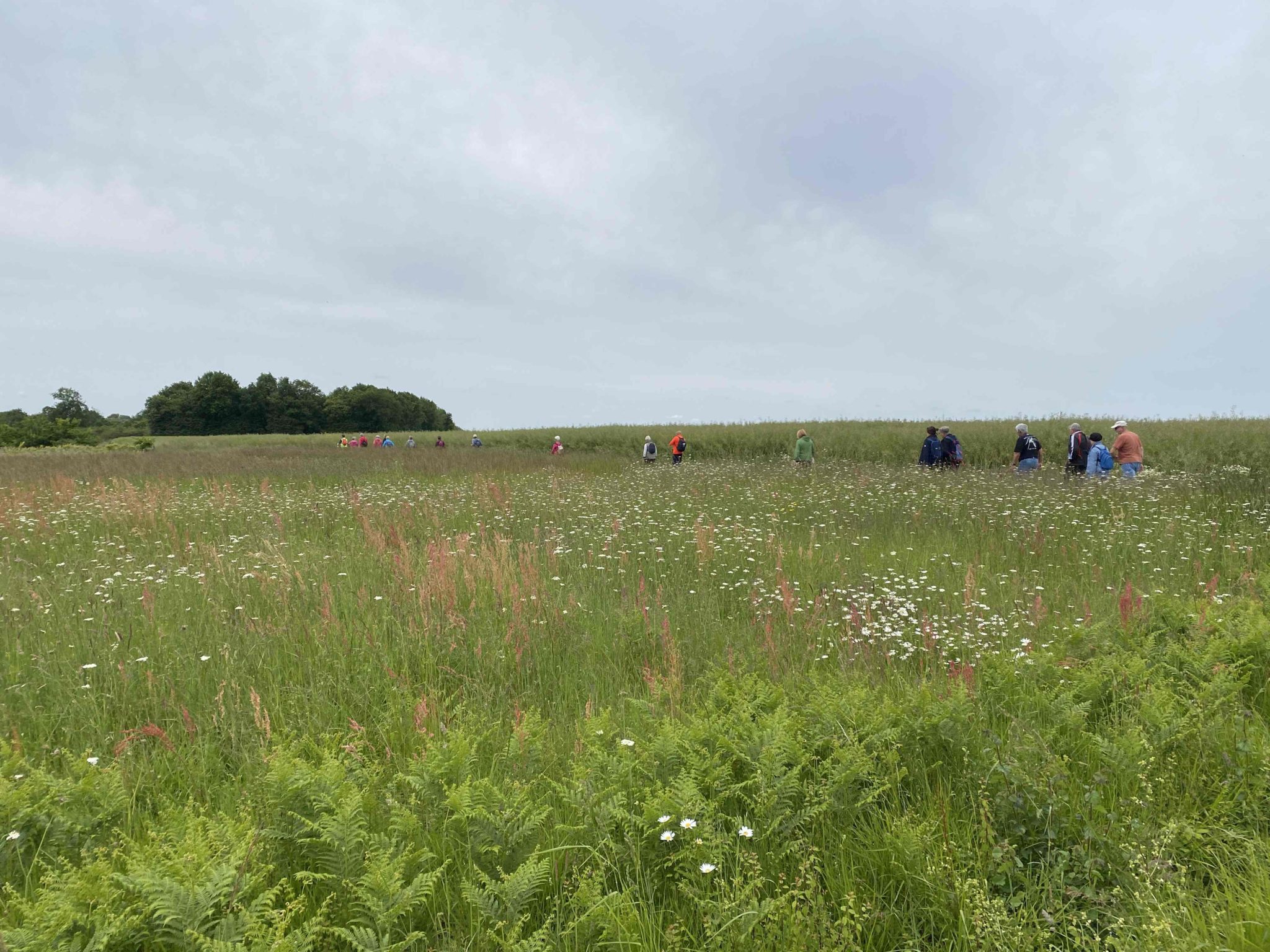 2023 05 18 RANDO LA CLISSE – Terre et Mer à Étaules